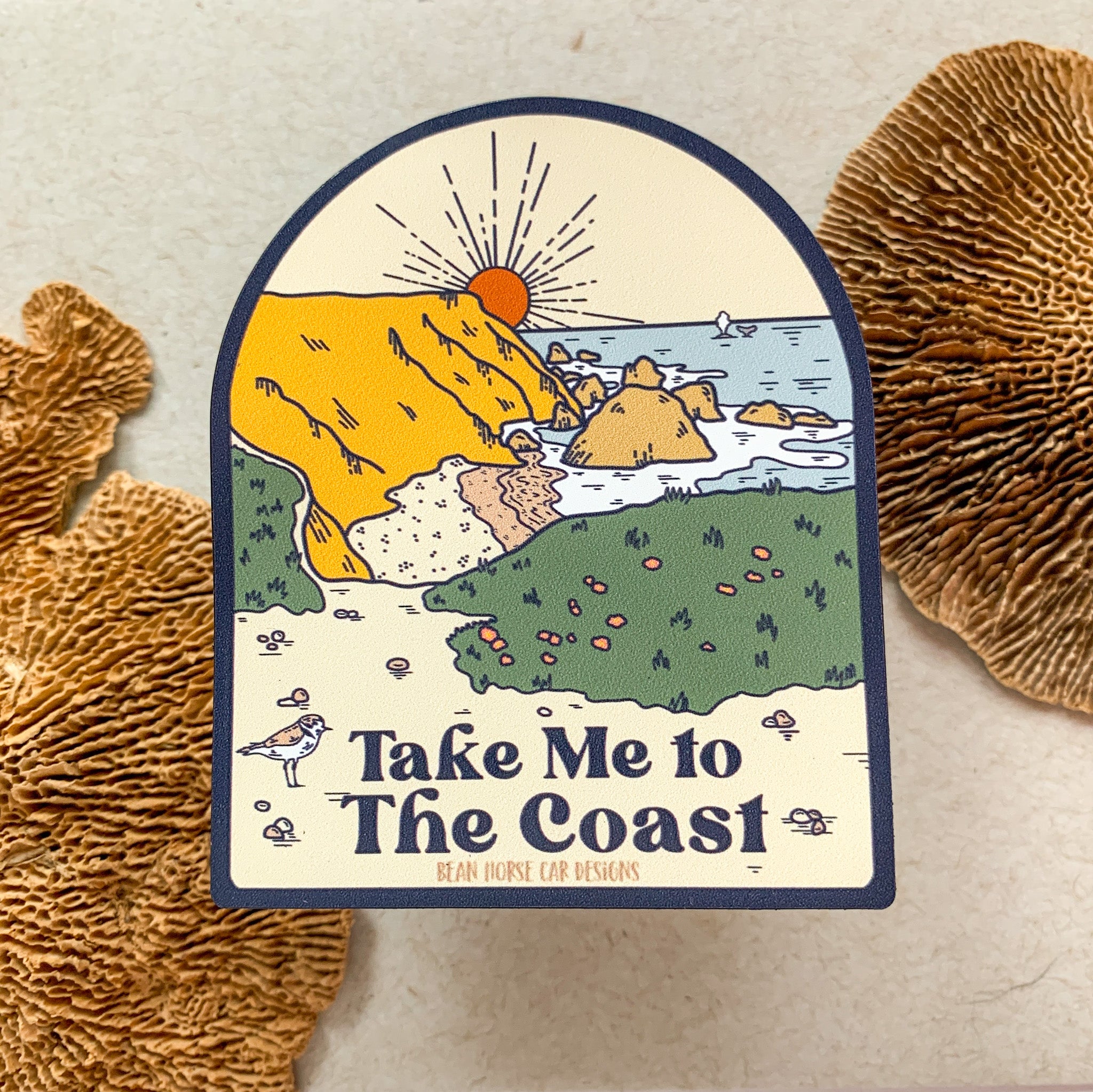 Magnets – Bean Horse Car Designs