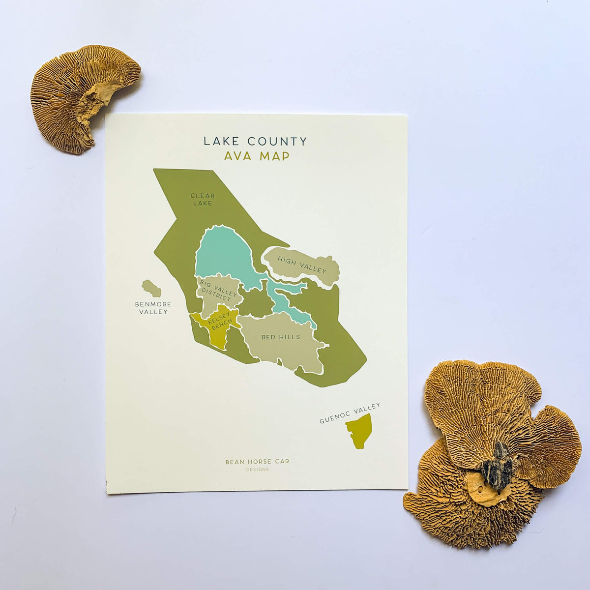 AVA Map - Lake County Labeled Art Print - North Coast Region – Bean ...